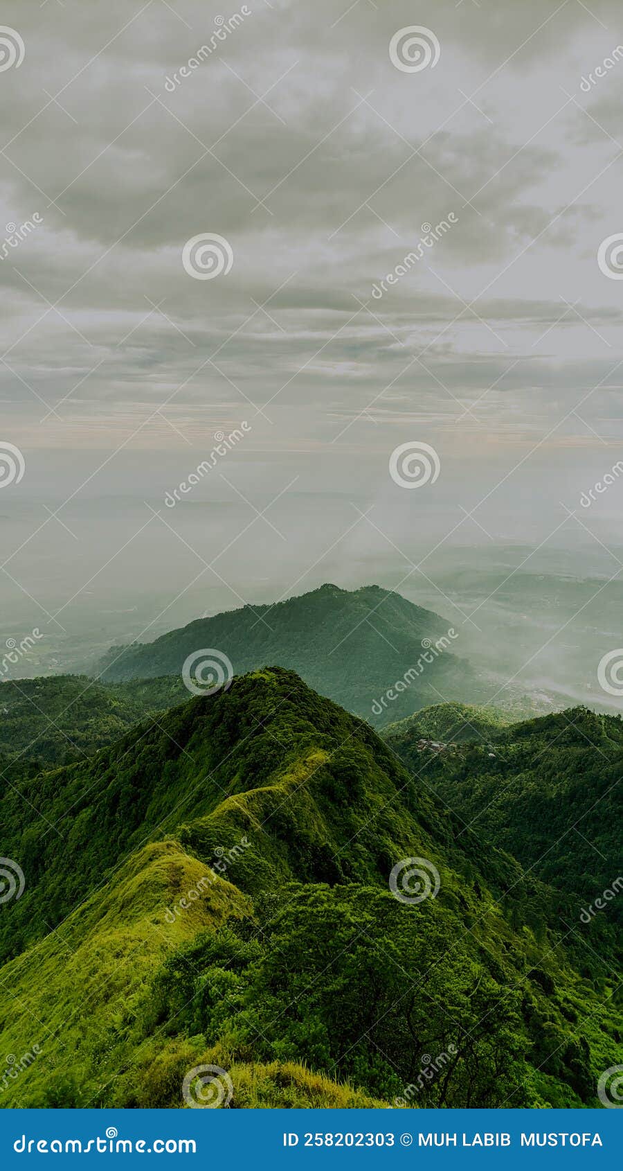 Meilleure Vue Telomo Montagne Centre Java Image stock - Image du java ...