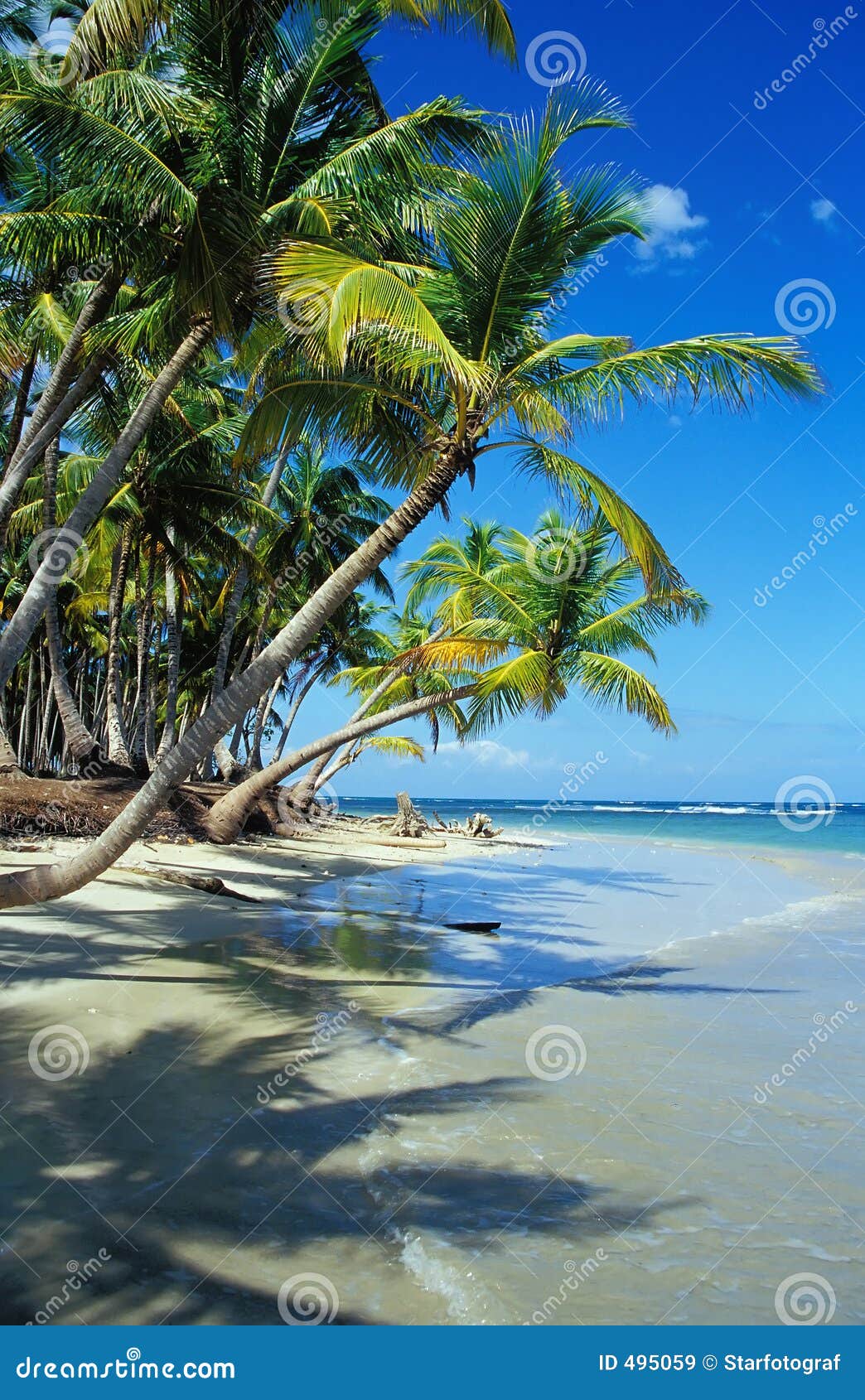 Mein Paradies stockbild. Bild von horizont, himmel, wedel - 495059