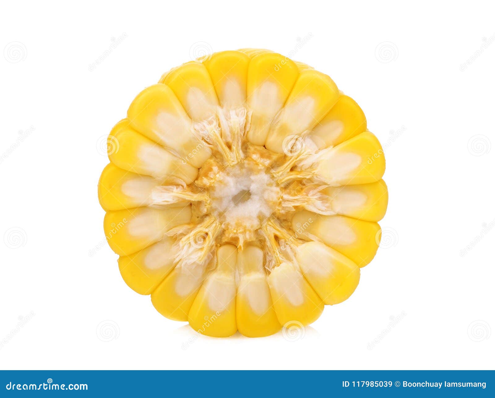 Meio Corte Do Milho Cru Isolado No Branco Imagem de Stock - Imagem de ...