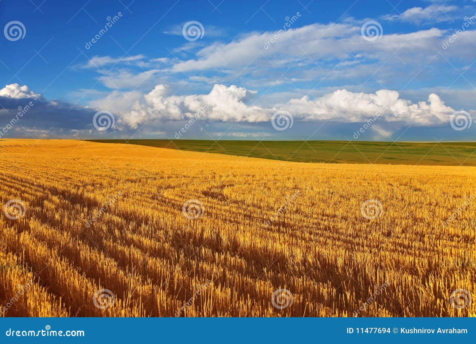 Meio-dia Solar Do Outono Em Montana Foto de Stock - Imagem de cereal ...