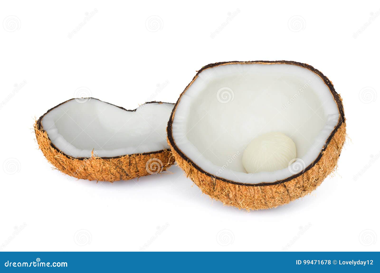 Meio Isolado Fresco Do Fruto Do Coco No Branco Foto de Stock - Imagem ...