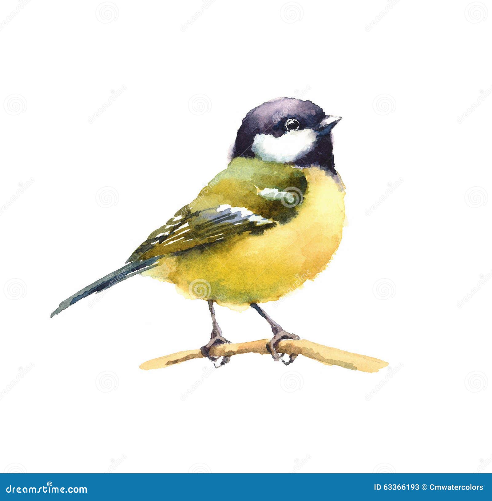 Meise-Aquarell-Vogel-Illustration Handgemalt Stock Abbildung ...