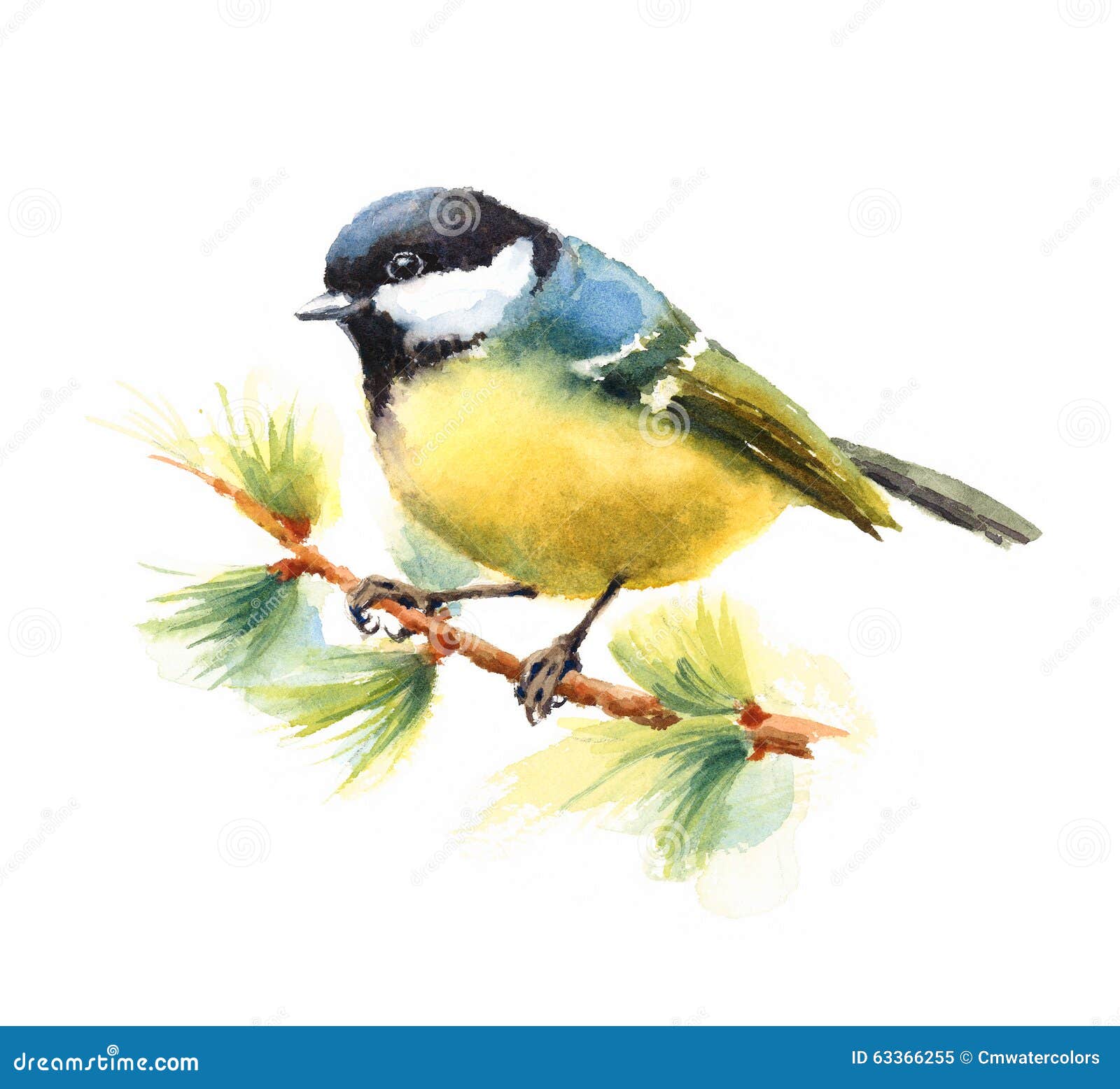 Meise-Aquarell-Vogel-Illustration Handgemalt Stock Abbildung ... Meise-Aquarell-Vogel-Illustration Handgemalt Stock Abbildung ...