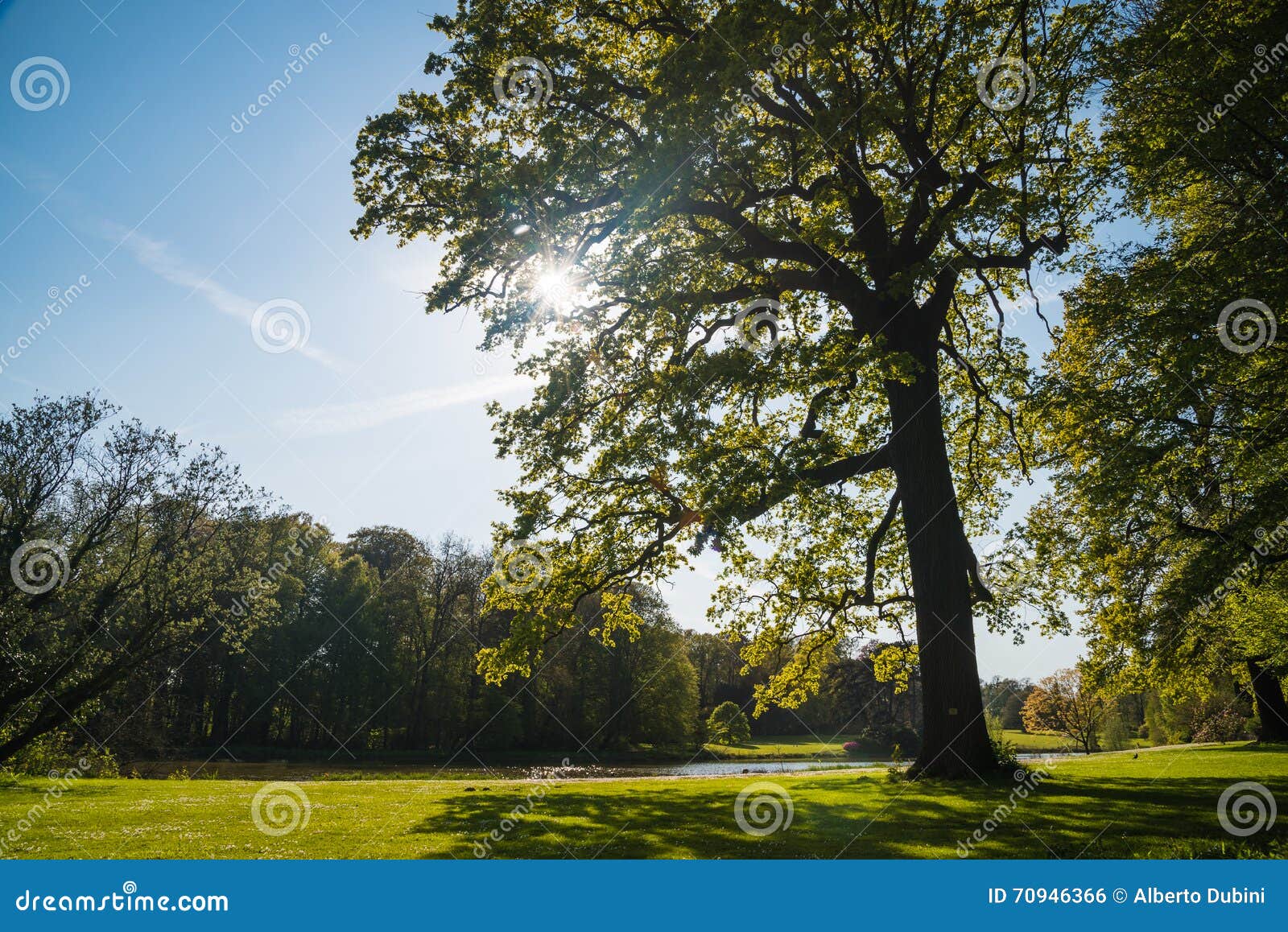 Meise Botanic Garden stock photo. Image of blue, bright - 70946366