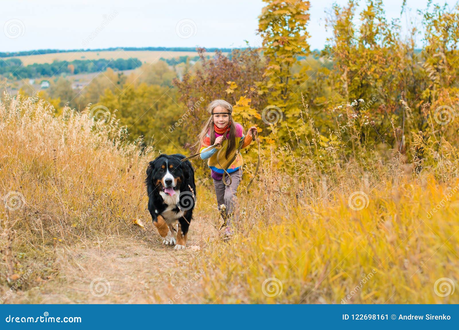 Meisje Die Met Grote Hond Lopen Stock Afbeelding - Image of gaat ...