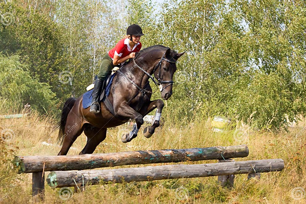 Meisje Op Het Springen Paard Stock Afbeelding - Image of snelheid, nave ...