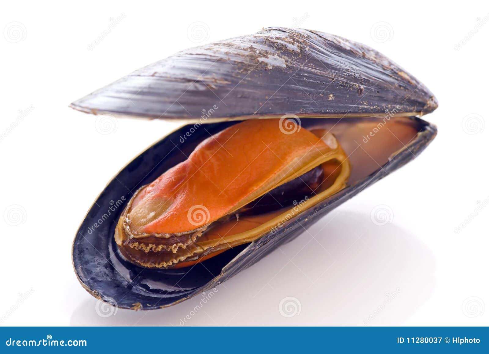 Mejillón imagen de archivo. Imagen de azul, cocinero - 11280037