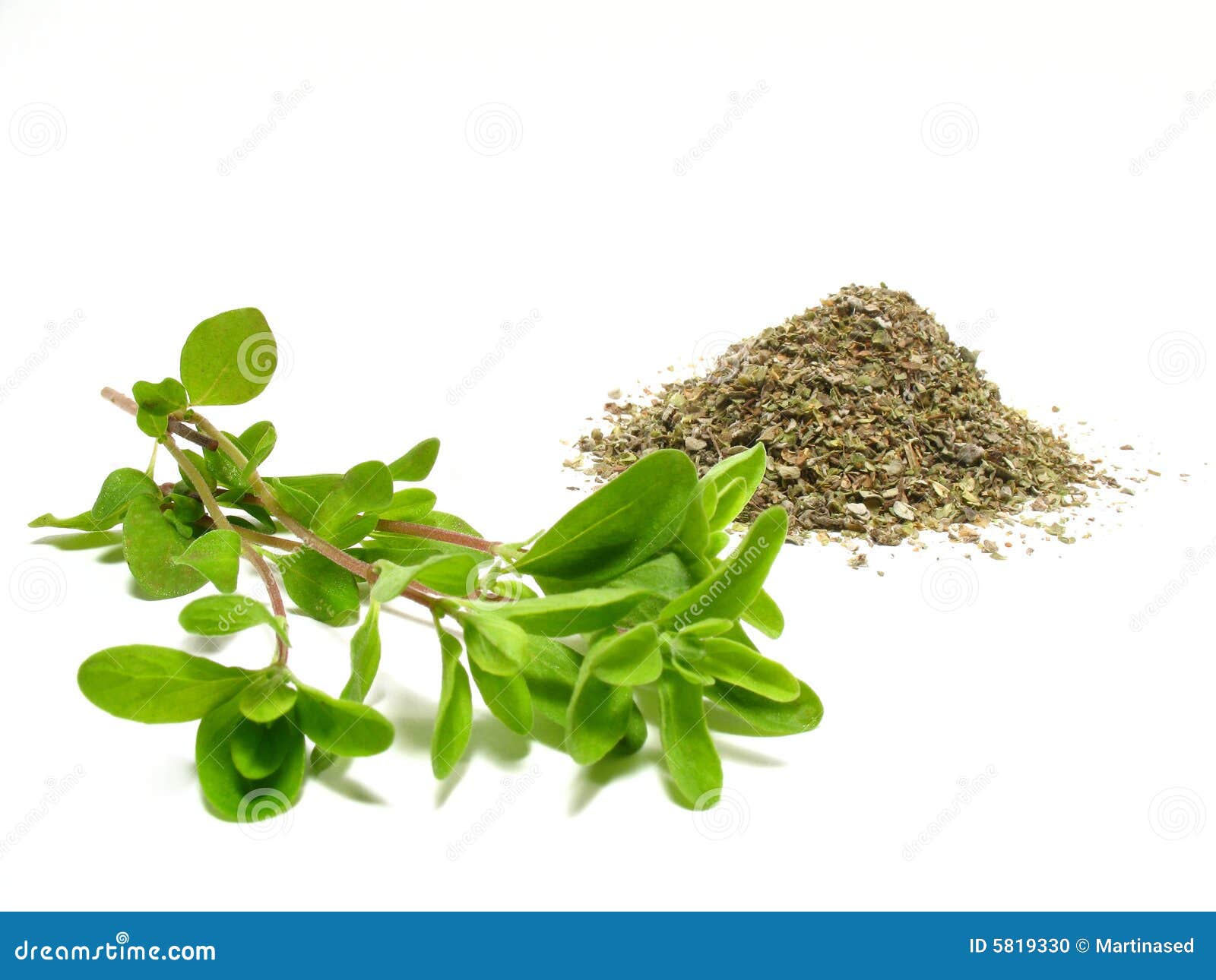 Mejorana foto de archivo. Imagen de hierbas, especiado - 5819330