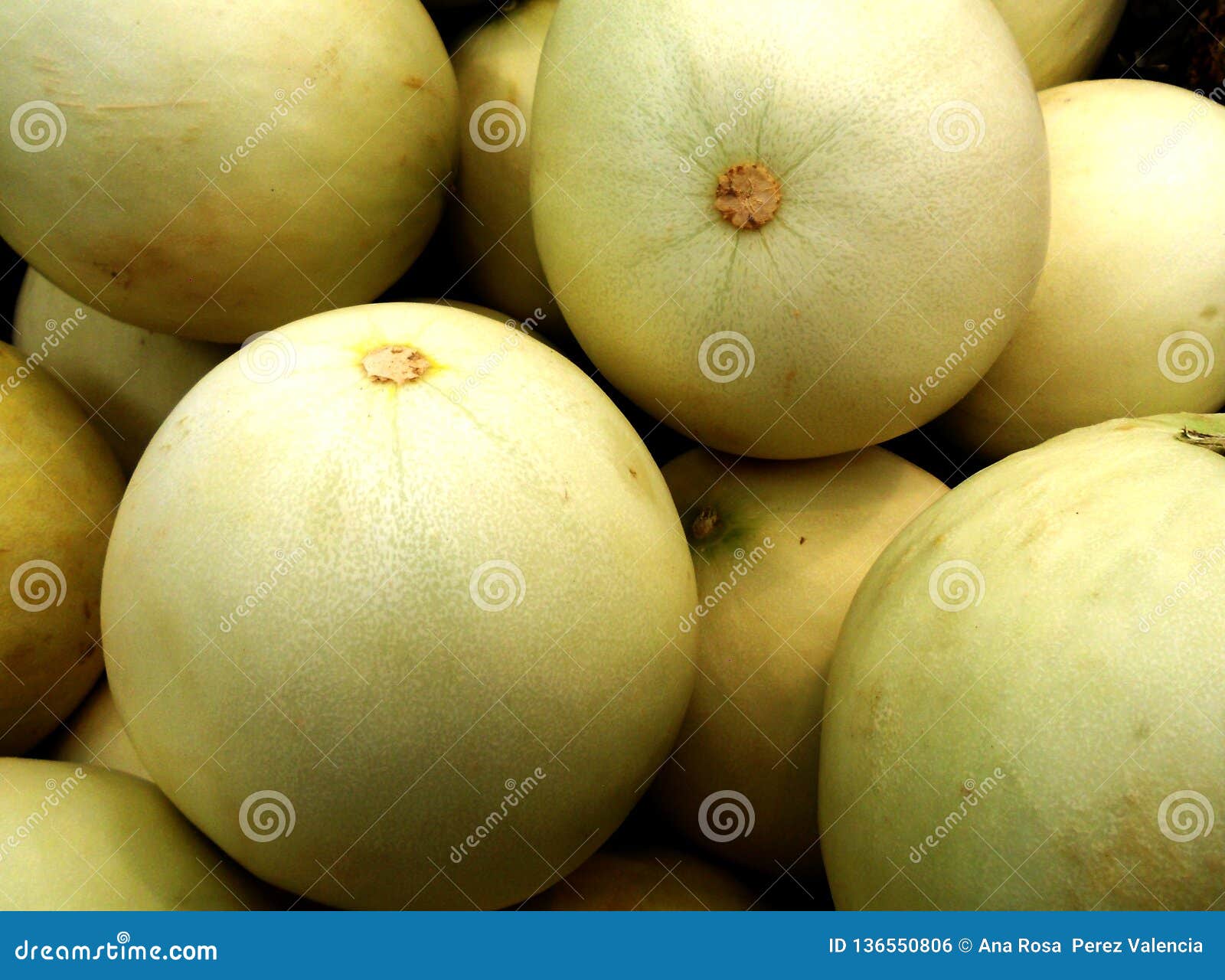 Melon Chino Origen at Wilfred Mccarty blog