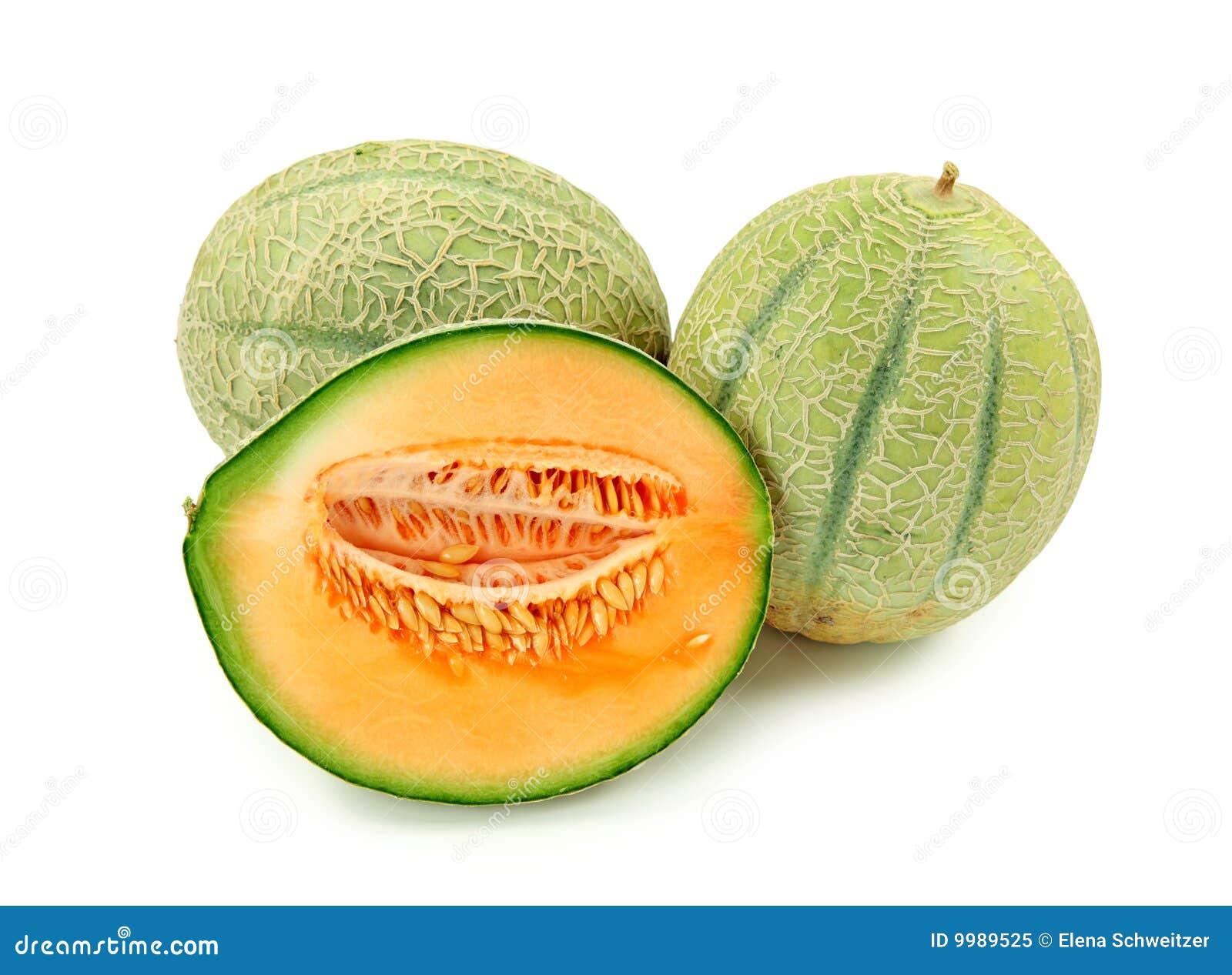 Melón dulce del bebé imagen de archivo. Imagen de aislado - 9989525