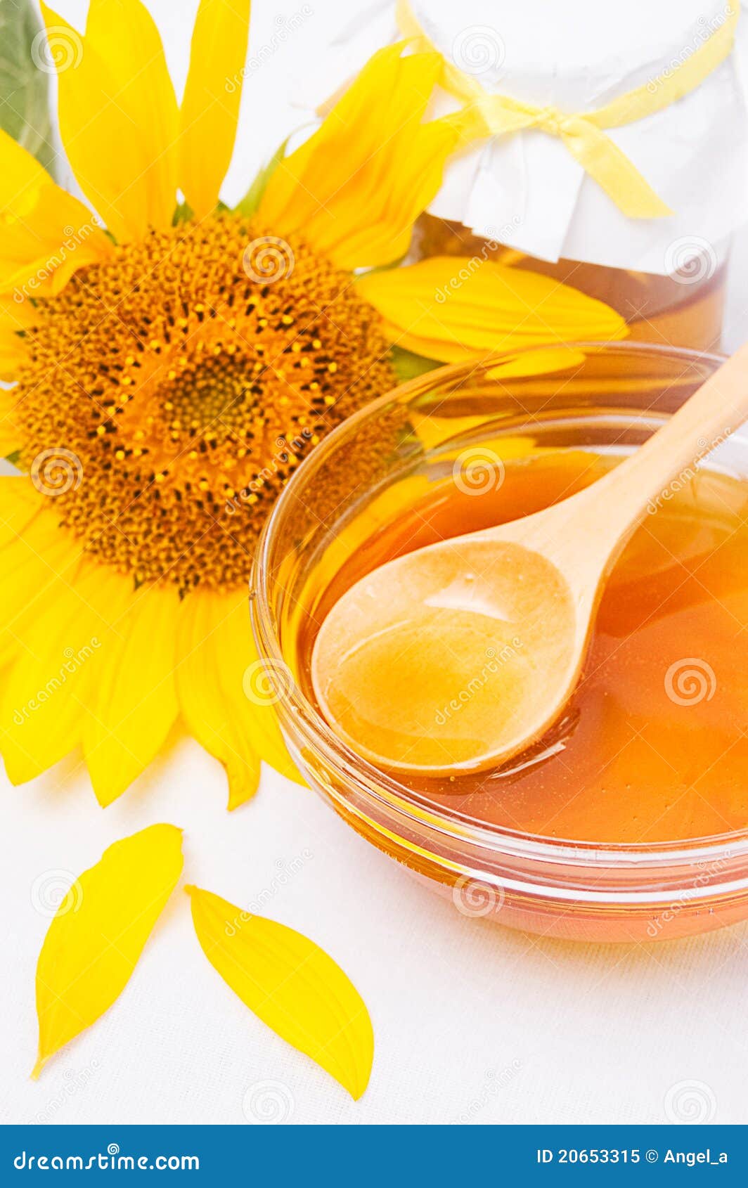 Mel e girassol imagem de stock. Imagem de isolado, cozinheiro - 20653315