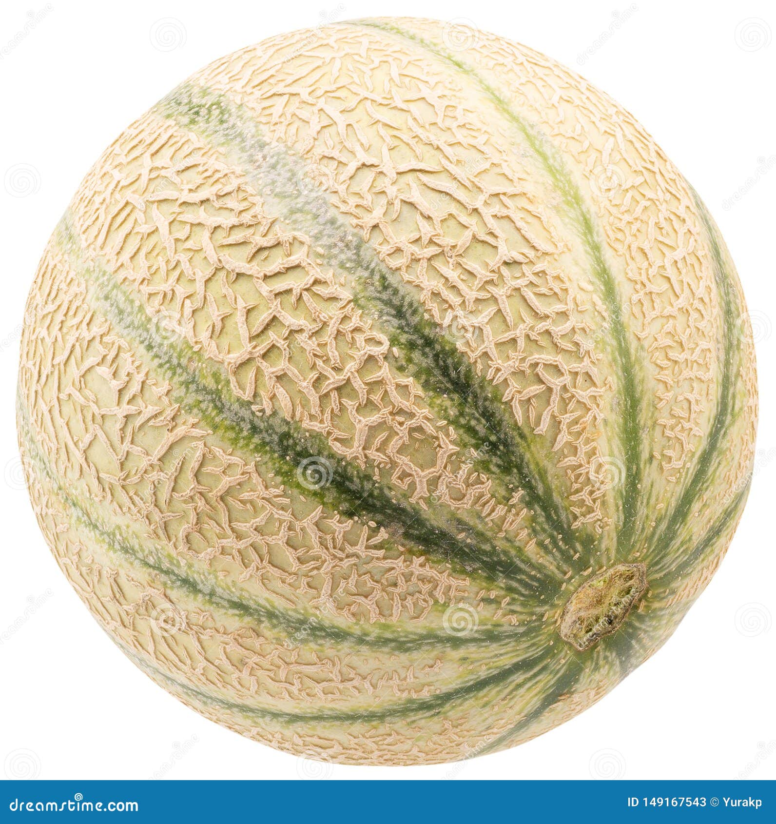 Mel?n Aislado En Un Fondo Blanco Imagen de archivo - Imagen de sano ...