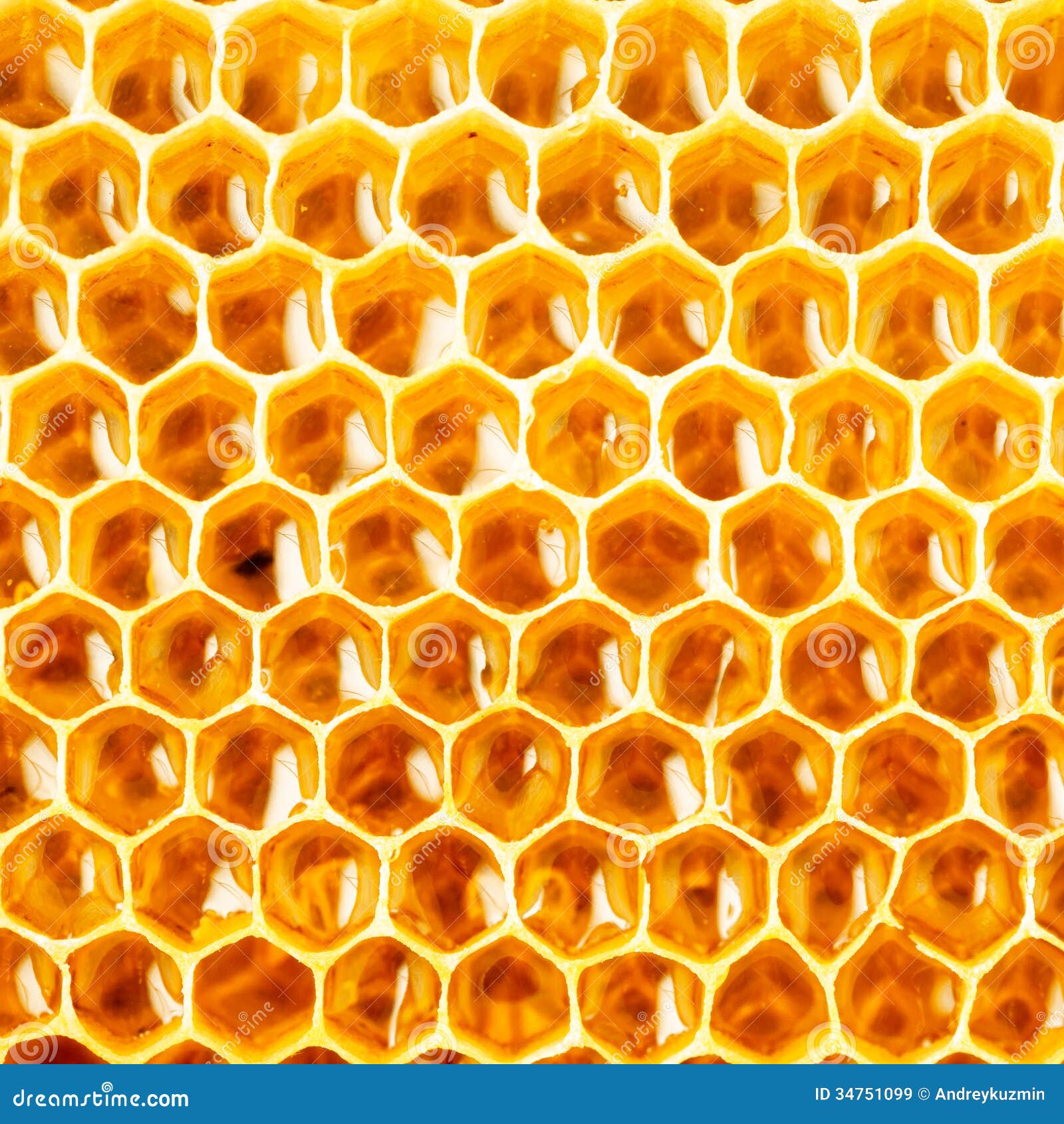 Mel No Close Up Do Favo De Mel Imagem de Stock - Imagem de fundo ...