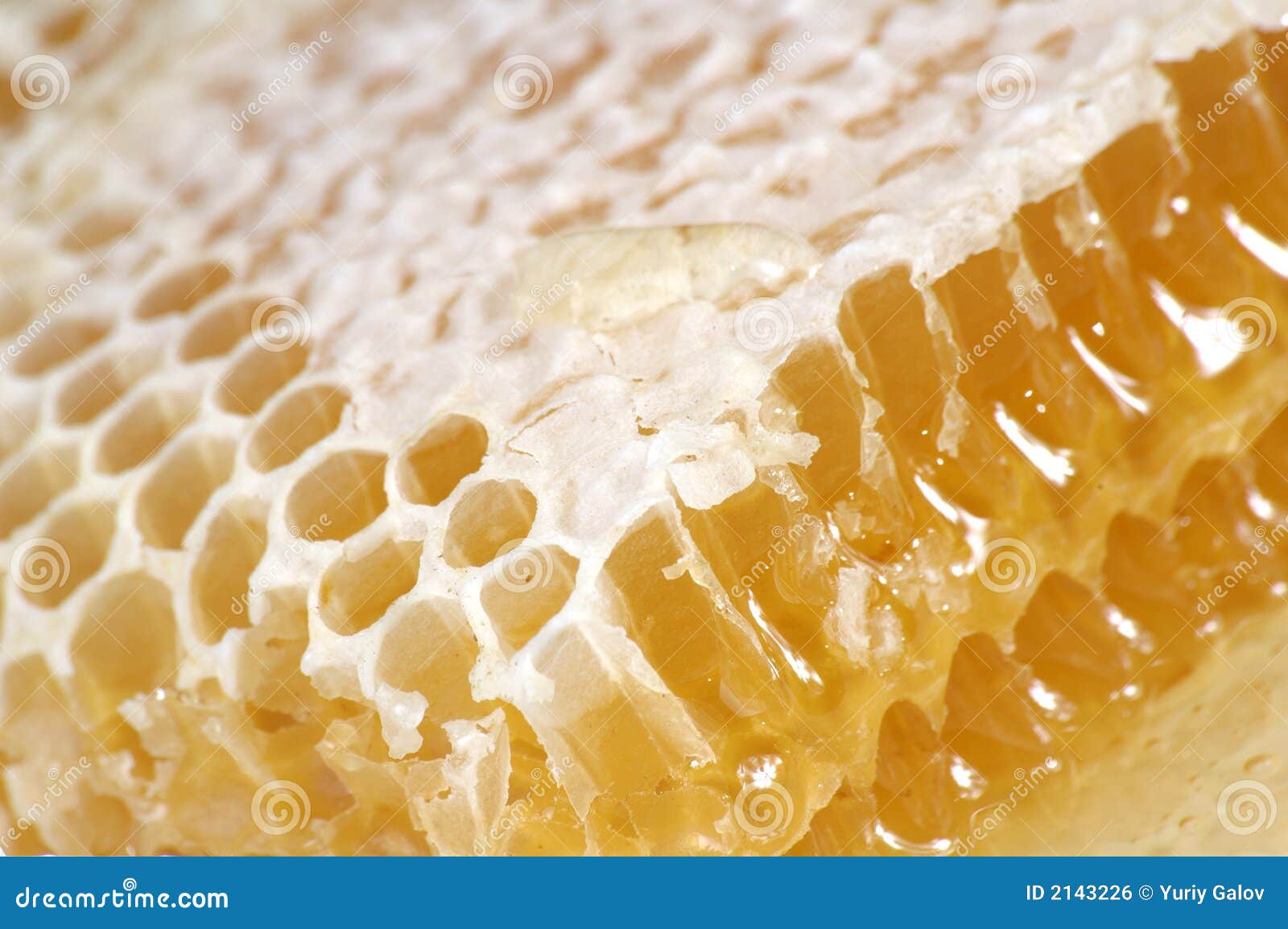 Mel no favo de mel foto de stock. Imagem de forma, alaranjado - 2143226