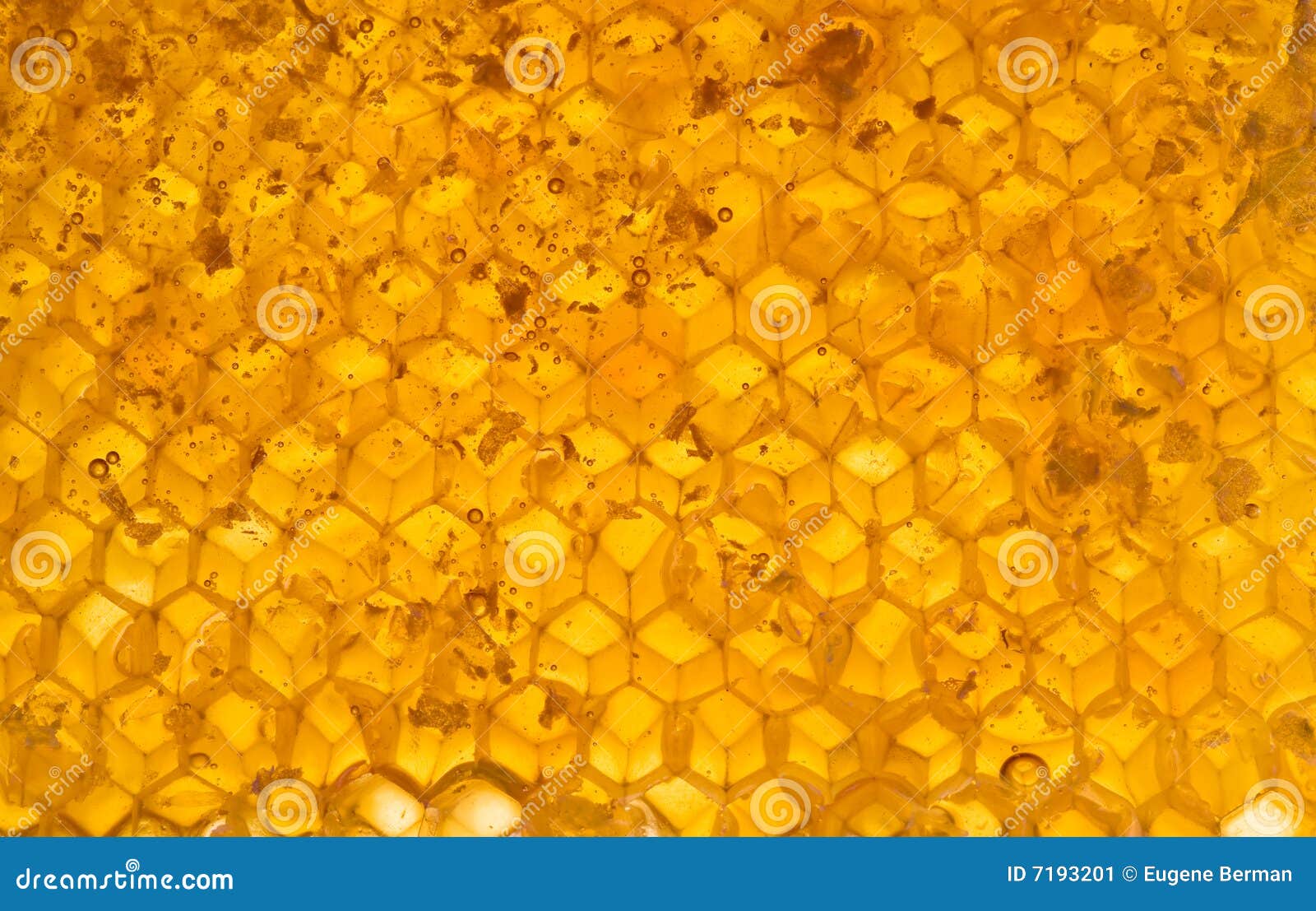 Mel no favo de mel imagem de stock. Imagem de gourmet - 7193201