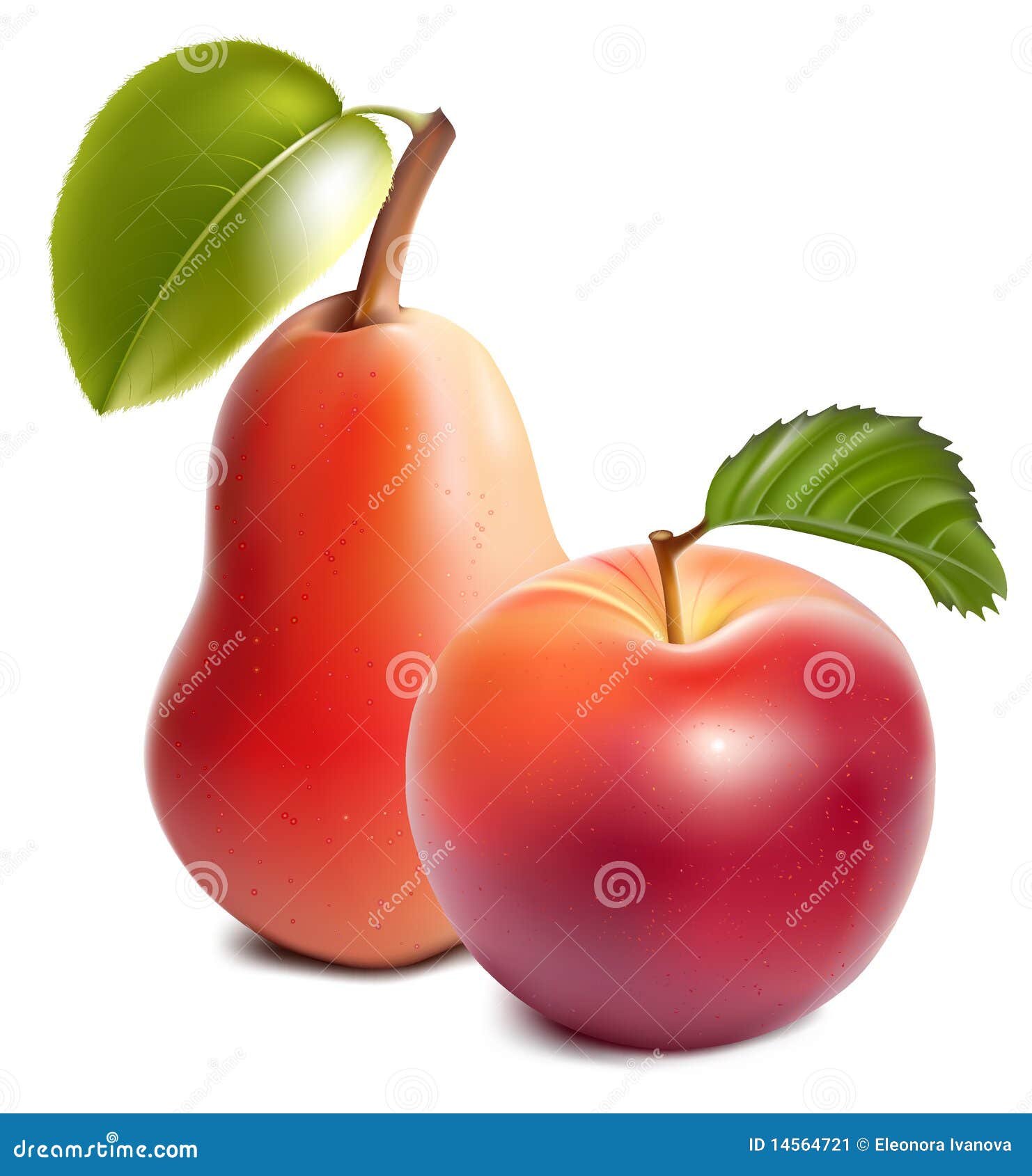 Mela e pera rosse mature. illustrazione vettoriale. Illustrazione di ...