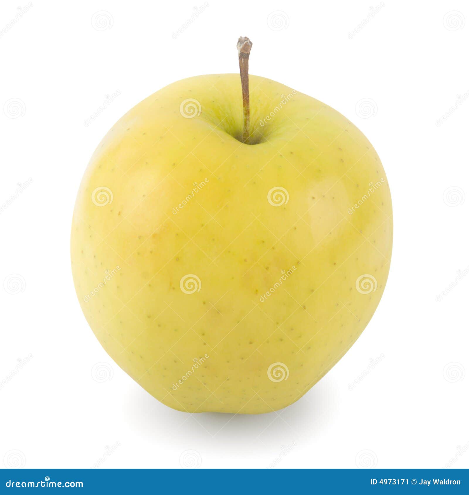 Mela golden Apple (w/path) immagine stock. Immagine di squisito - 4973171