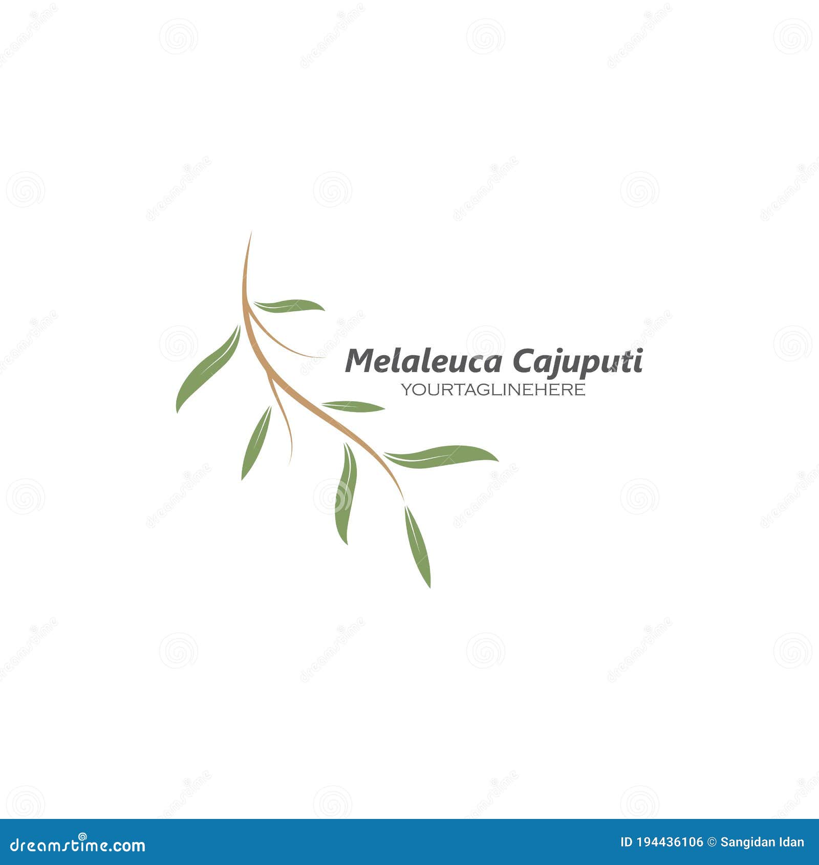 Melaleuca Cajuputi Leaf Icon Vector Illustration Design Stock Vector ...