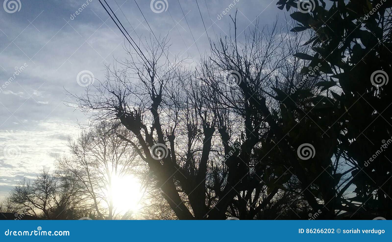 Melancholy Sunset stock photo. Image of wallpaper, melancholy - 86266202