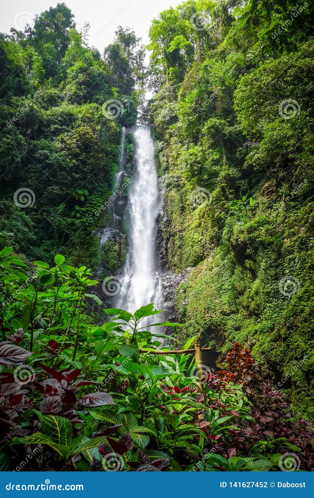 Melanting Waterfall, Munduk, Bali, Indonesia Stock Photo - Image of ...