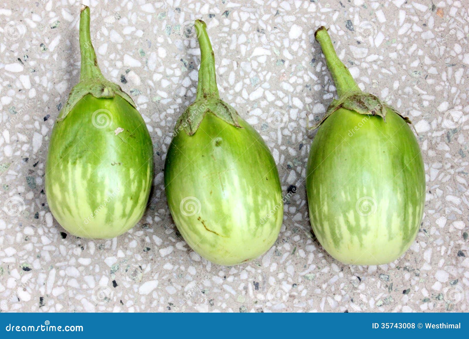 Melanzana variegata verde fotografia stock. Immagine di ovale - 35743008