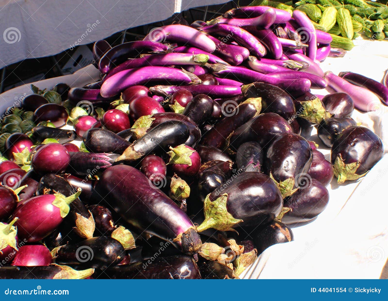 Melanzane fotografia stock. Immagine di piante, mercato - 44041554
