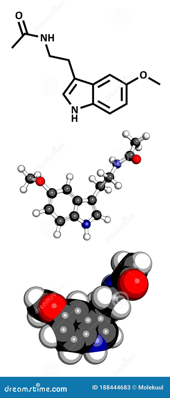 Melatonin Hormone, Molecular Model. Stock Illustration - Illustration ...