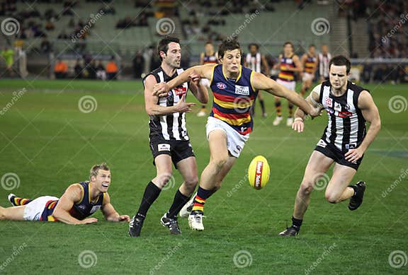 MELBOURNE - AUGUST 21: Action from Editorial Photography - Image of ...