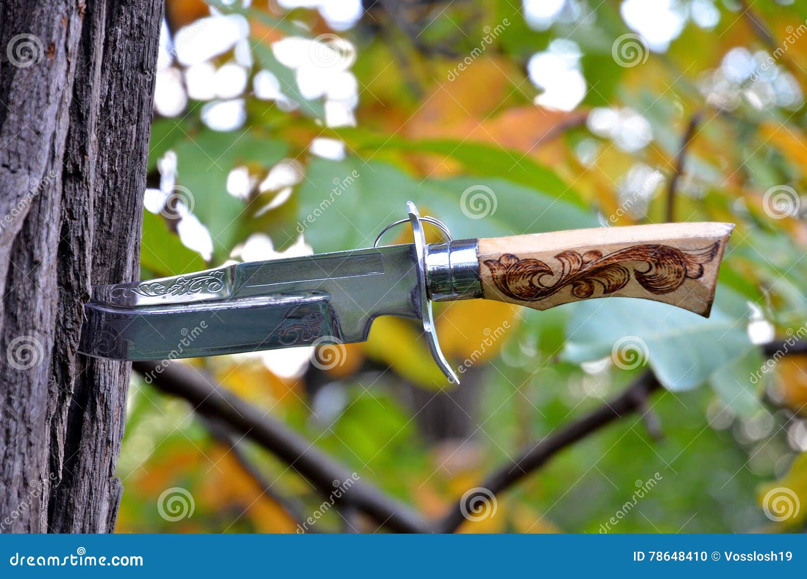 Melee Weapons and Combat Knife. Stock Photo - Image of tree, blade ...