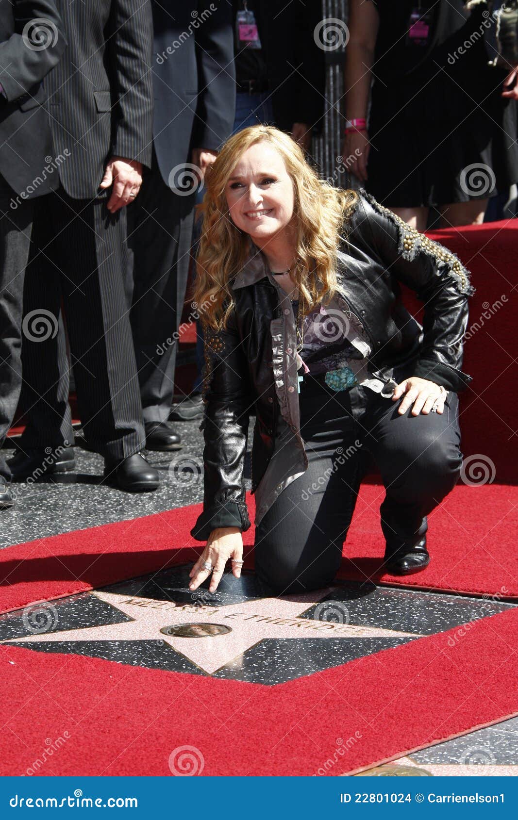 Melissa Etheridge redactionele stock afbeelding. Image of gang - 22801024