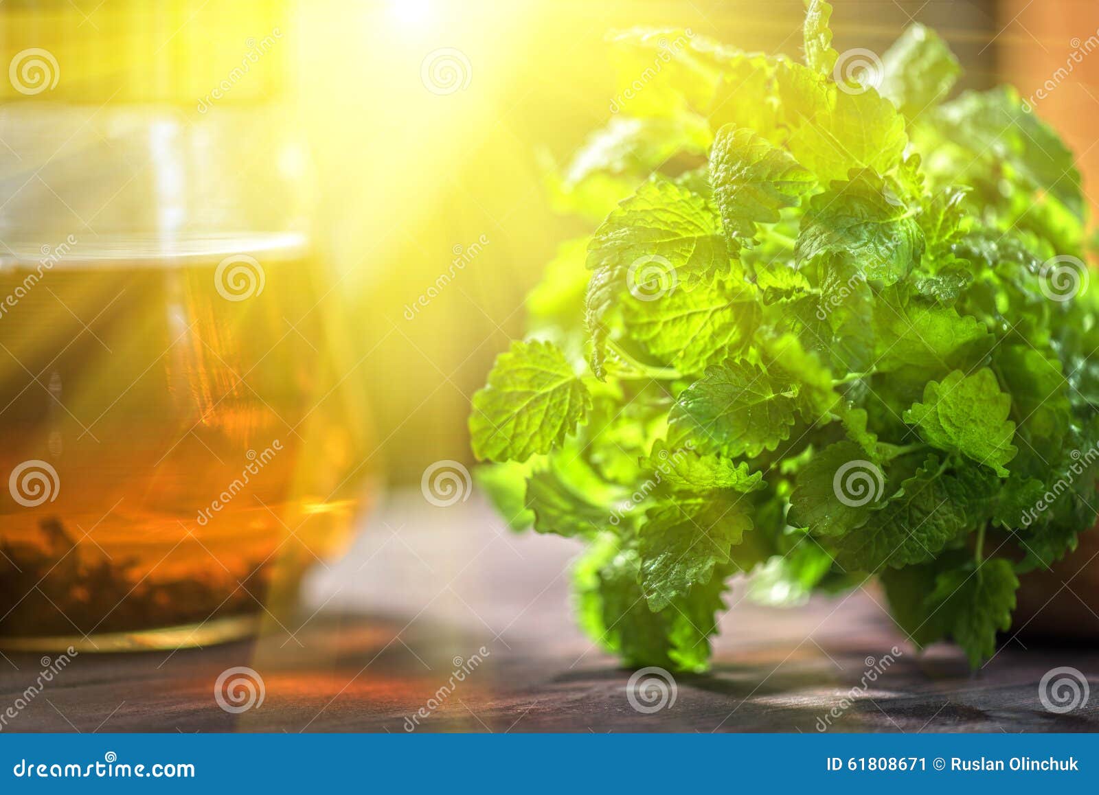 Melissa tea stock image. Image of cooking, culinary, horizontal - 61808671