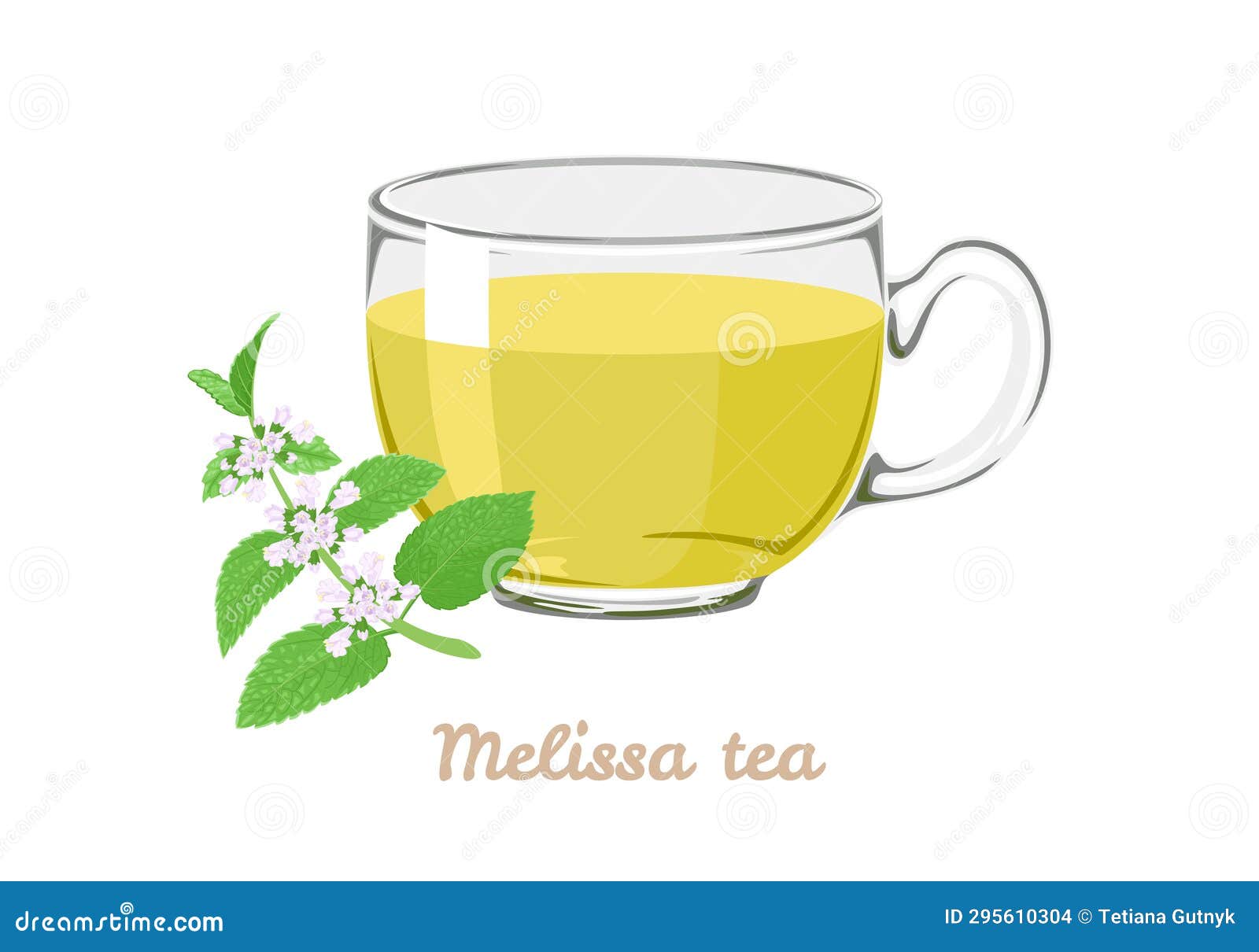 Melissa Tea (lemon Balm) in Transparent Glass Cup. Stock Vector ...