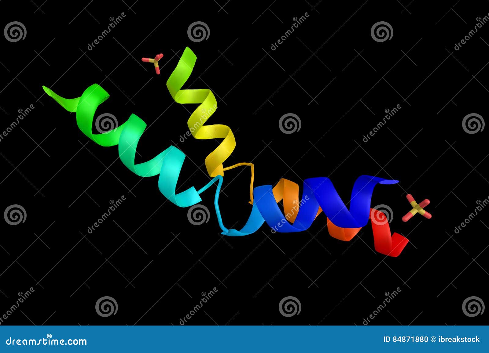 Melittin, the Principal Active Component of Apitoxin (bee Venom) and a ...