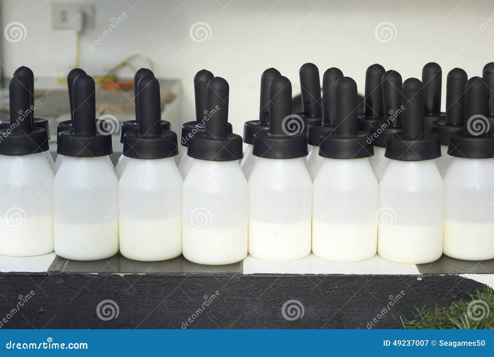 Melkfles - Melk voor kalf stock afbeelding. Image of zuivelfabriek ...