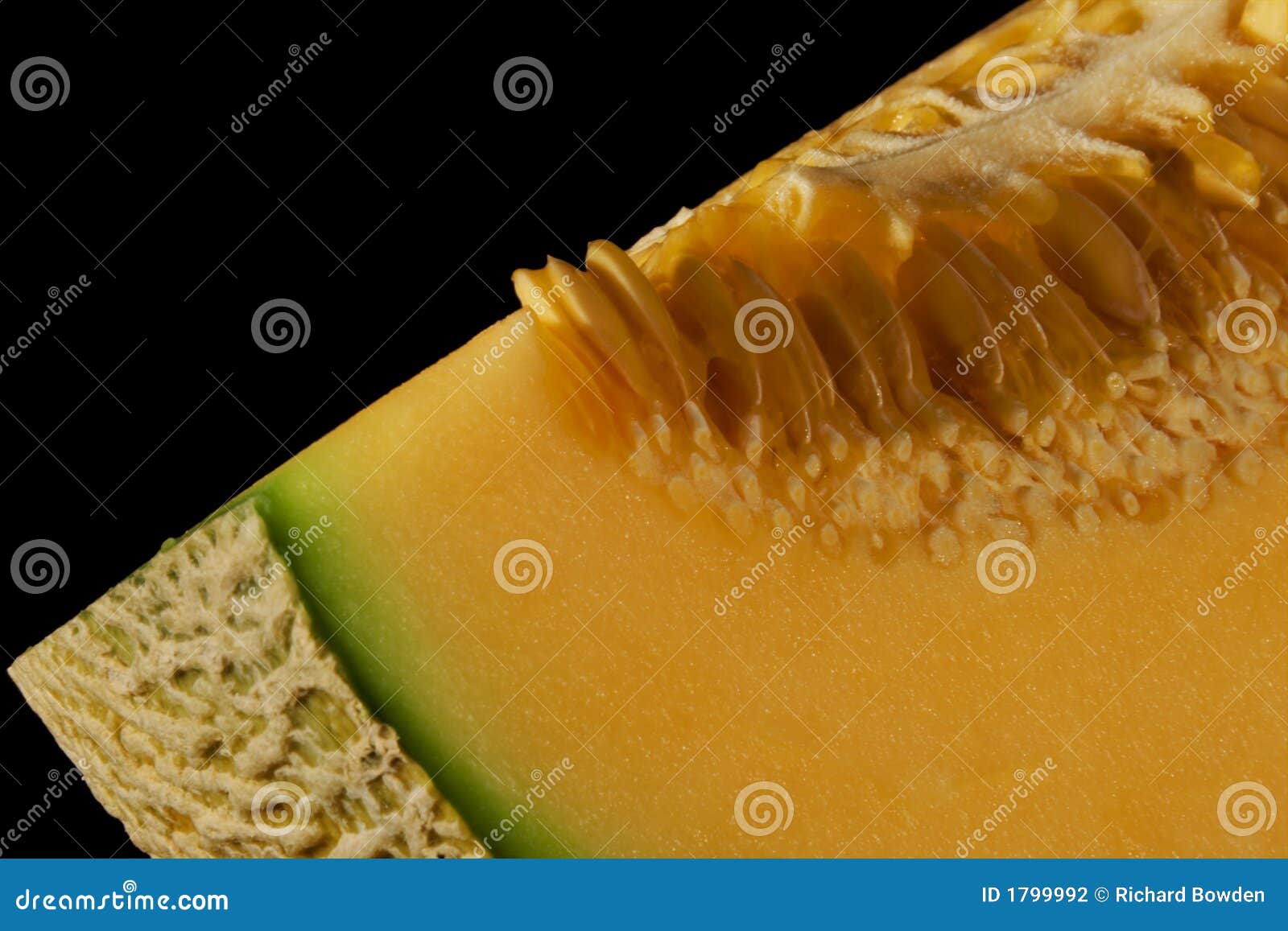 Mellon stock photo. Image of macro, good, close, succulent - 1799992