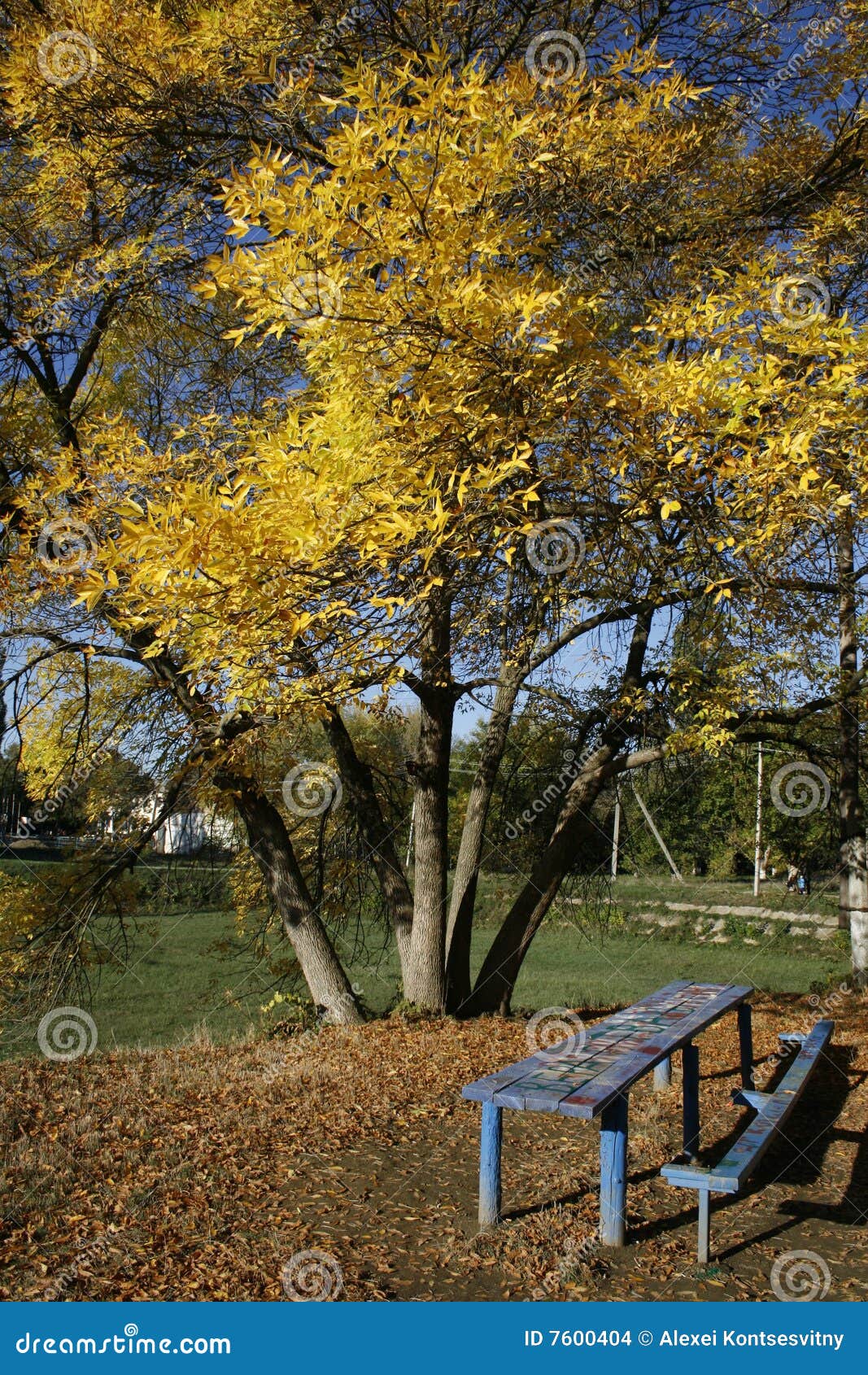 Mellow autumn stock photo. Image of blue, tree, dark, landscape - 7600404