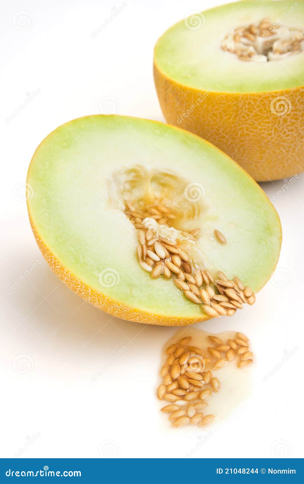 Mellow Melon stock photo. Image of honeydew, still, isolated - 21048244