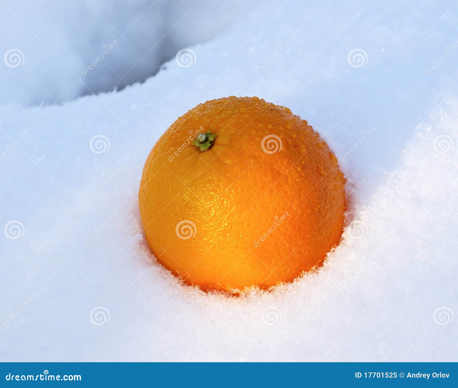 Mellow Orange in White Fresh Snow Stock Image - Image of warm, shiny ...