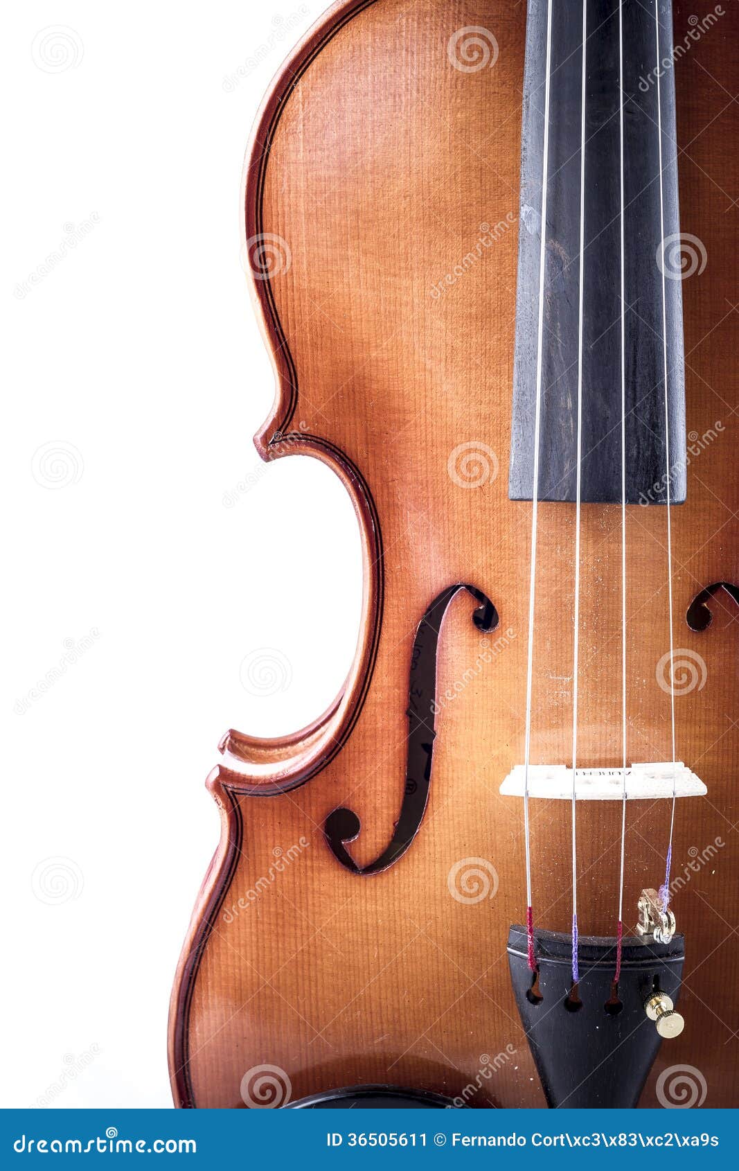 Melody, Violin Front View Isolated on White, Vintage Stock Image ...