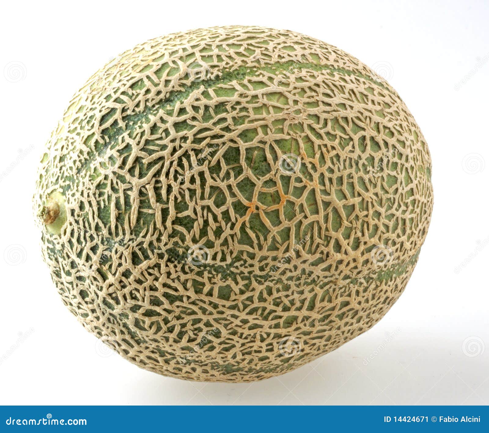Meloen stock afbeelding. Image of lente, vrucht, goed - 14424671