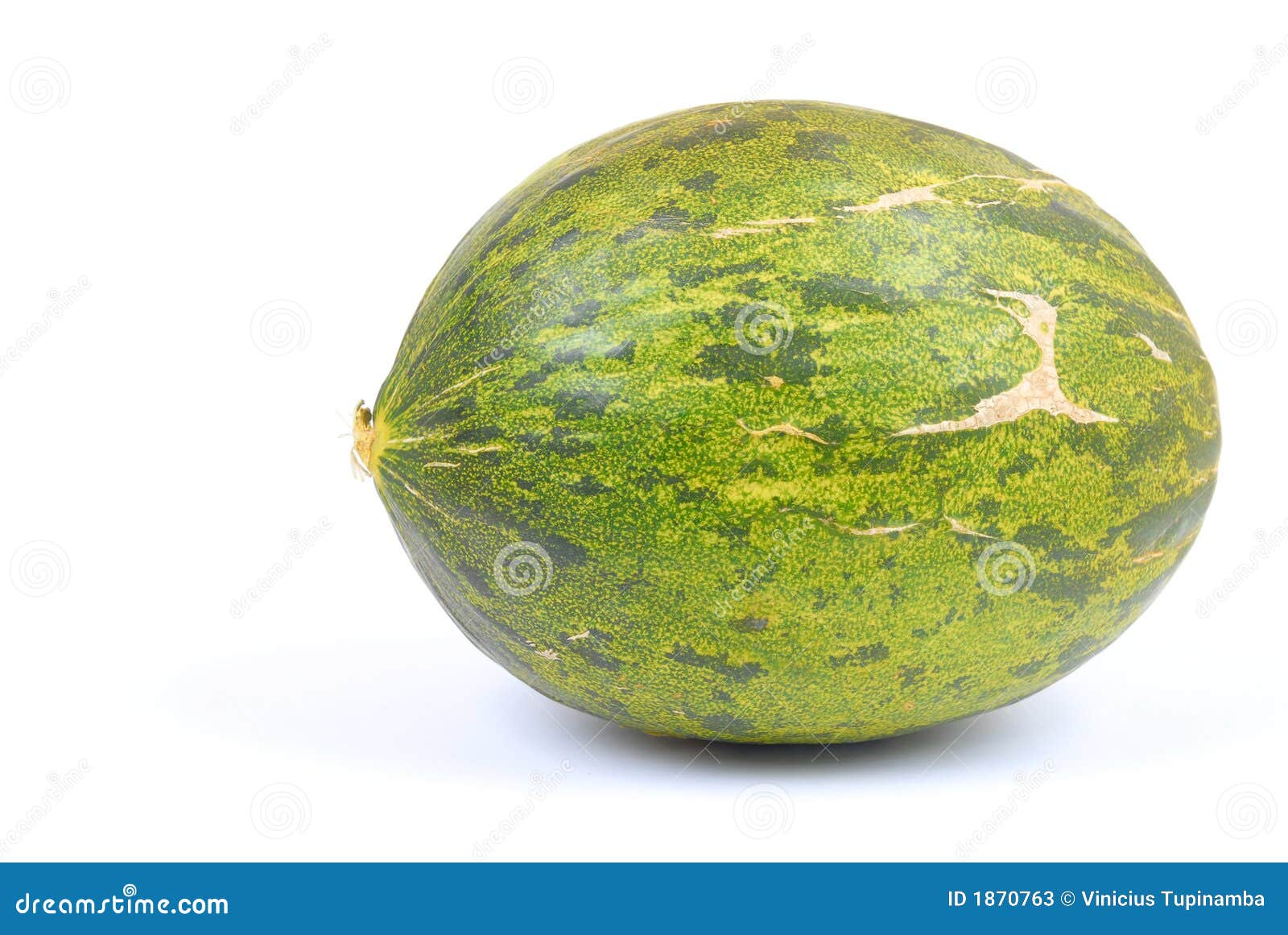 Meloen stock afbeelding. Image of gezond, kantaloep, landbouw - 1870763