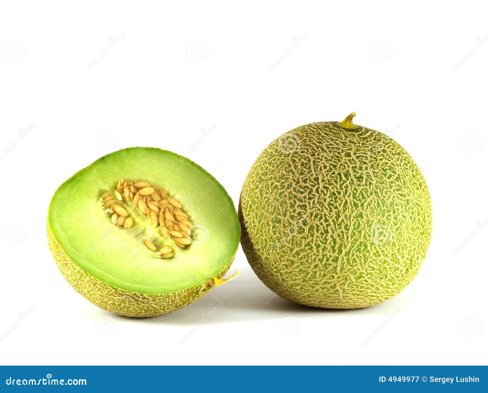 Meloen stock afbeelding. Image of zaad, voedsel, cirkel - 4949977