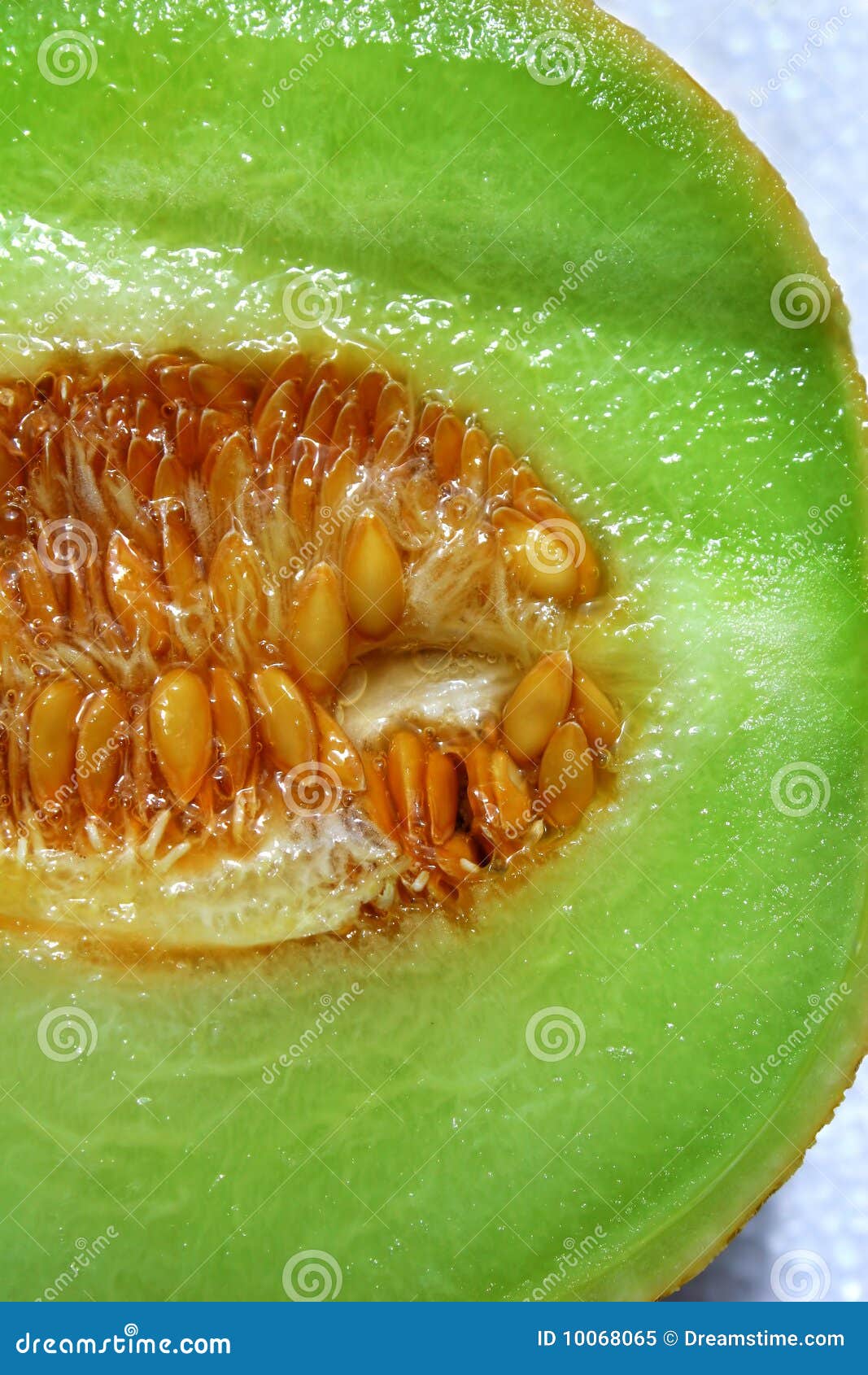 Melon stock image. Image of closeup, lush, large, citrus - 10068065