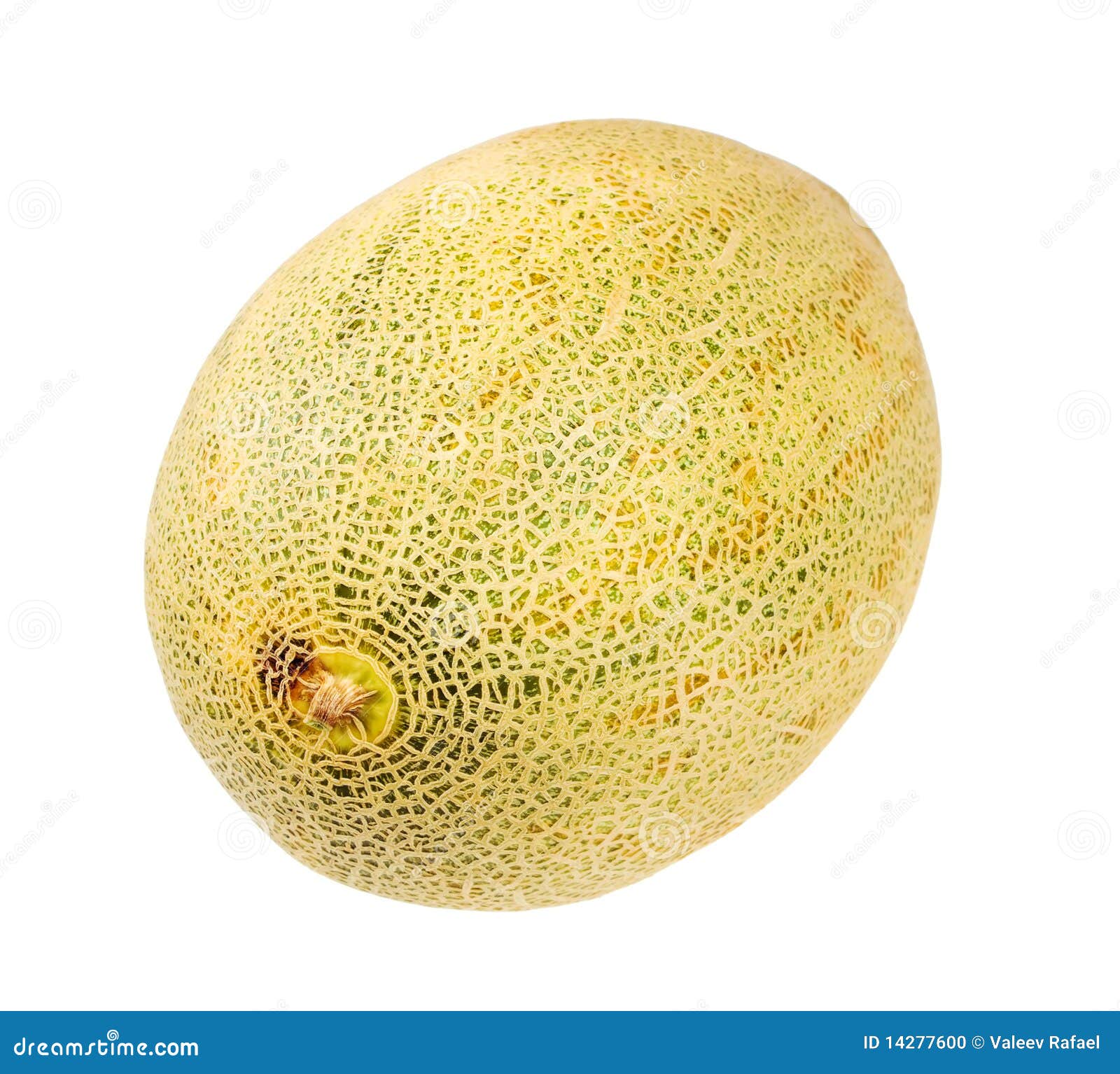 Melon photo stock. Image du fond, isolement, nourriture - 14277600