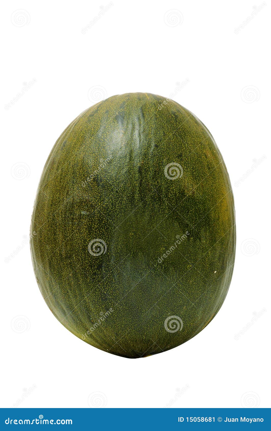 Melon stock image. Image of pips, healthy, green, dinner - 15058681