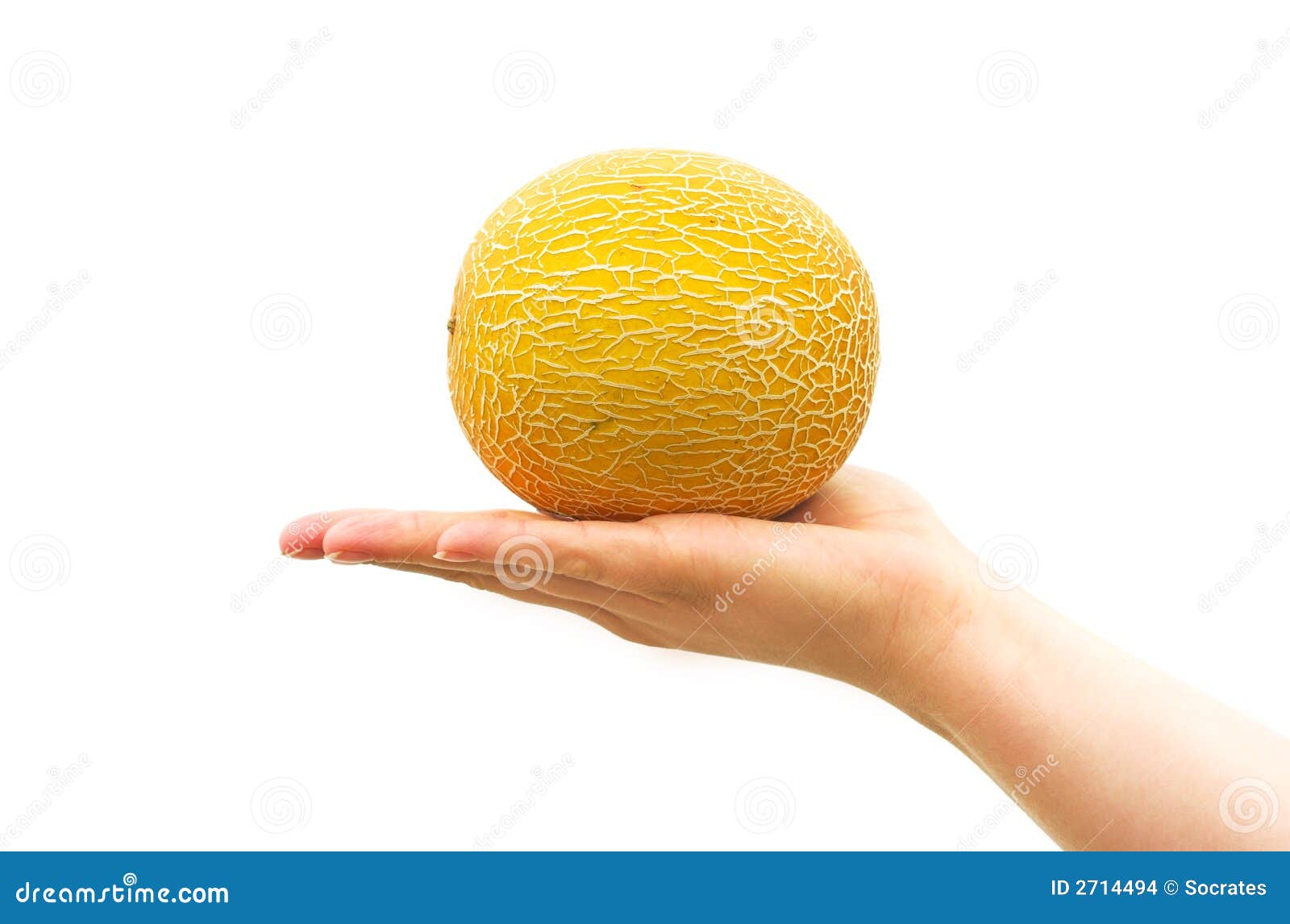 Melon stock photo. Image of hand, attractive, health, life - 2714494