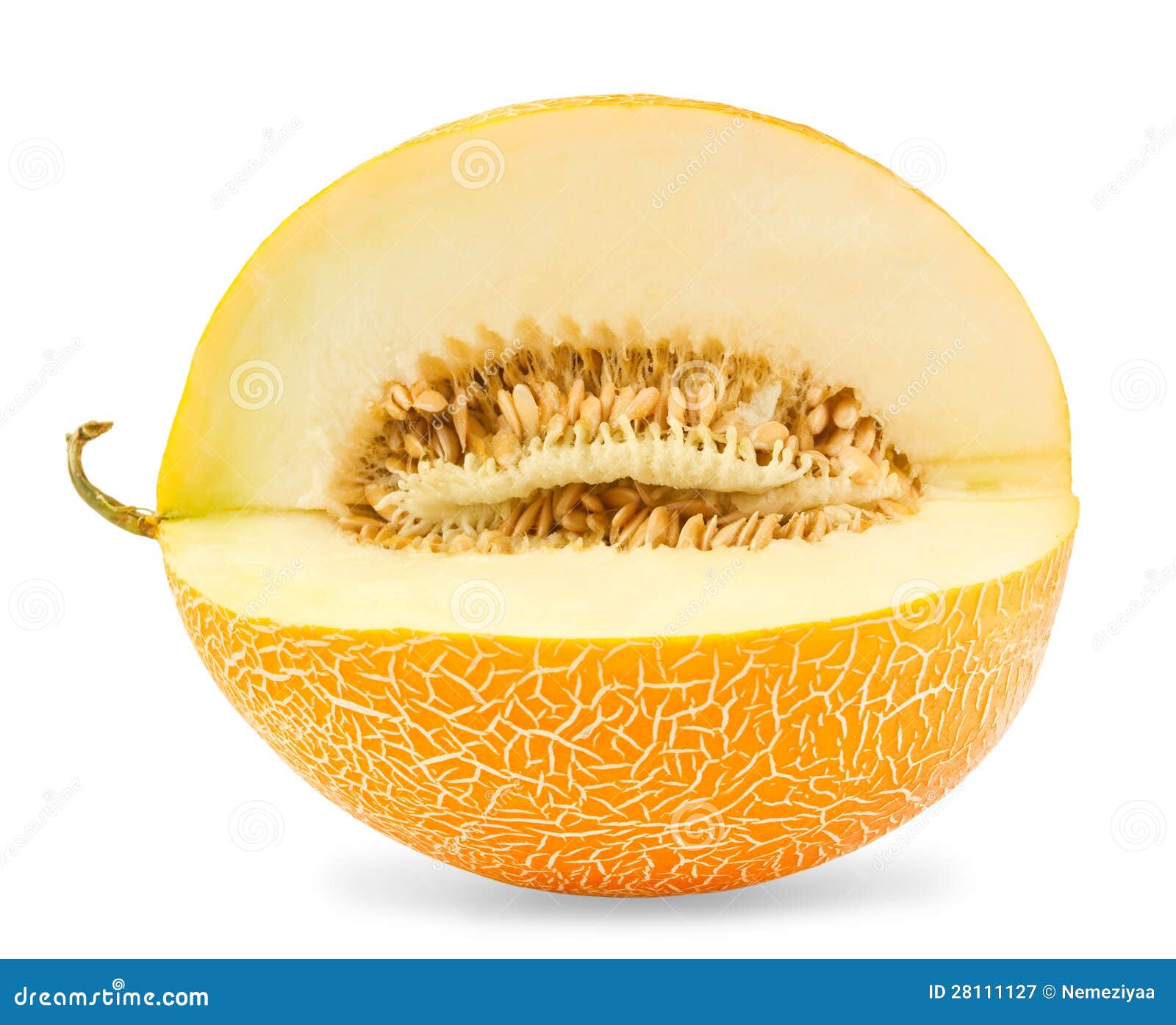 Melon stock image. Image of healthy, ingredient, detail - 28111127