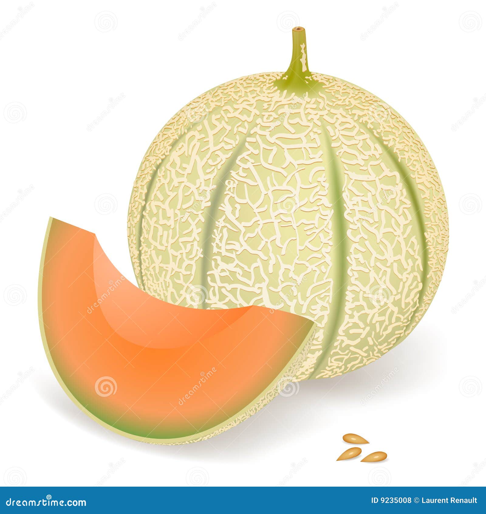 Melon Cartoon Vector | CartoonDealer.com #6058039