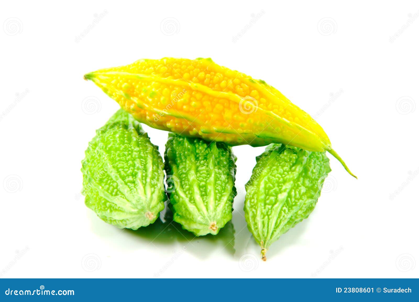 Melon amer image stock. Image du légumes, nature, melon - 23808601