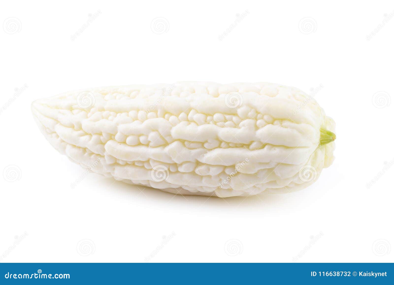 Melon Amer Blanc D'isolement Sur Un Fond Blanc Photo stock - Image du ...